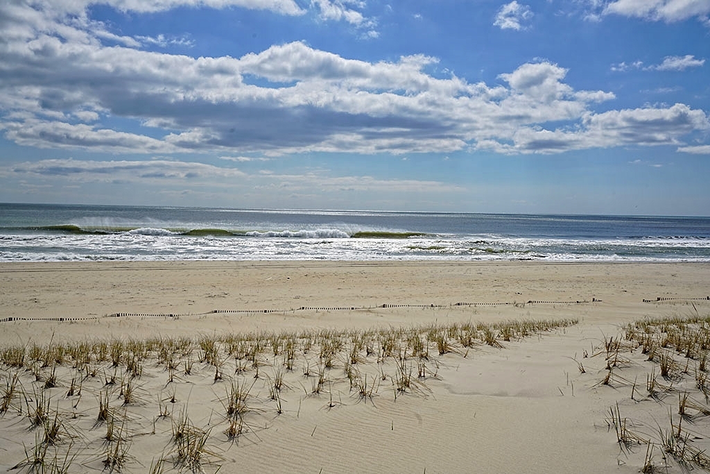 Stunning North Beach Oceanfront